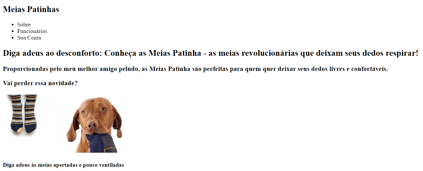 Curso Básico De Html E Css Como Construir Uma Landing Page